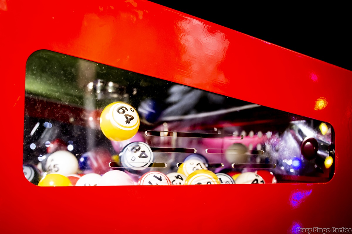 Crazy Bingo Parties - Private & Corporate Hire